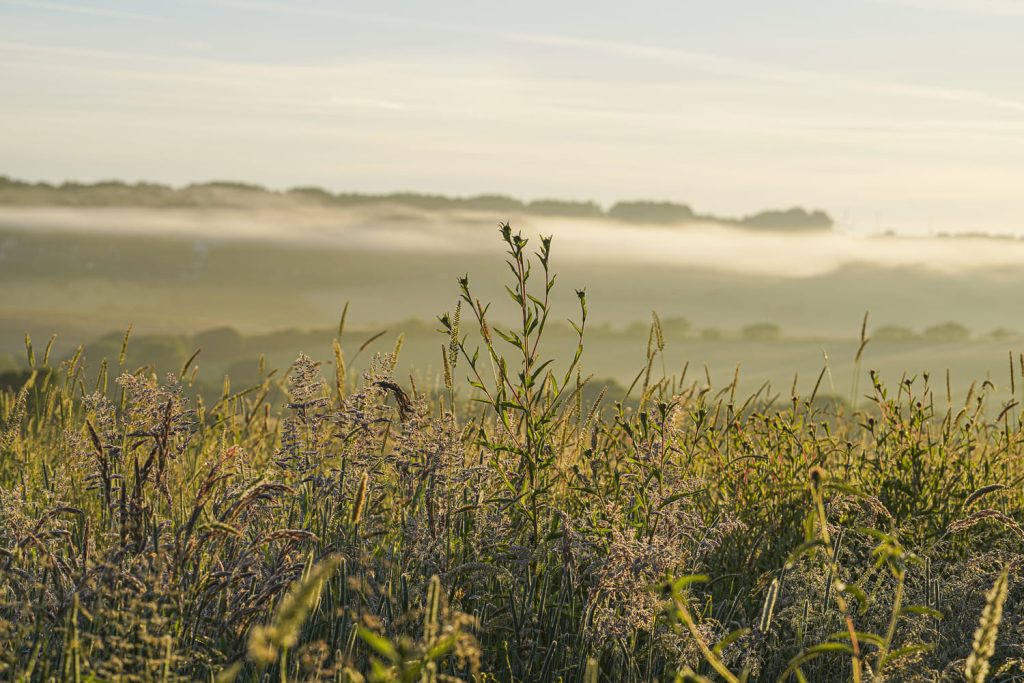 About Nansledan - A Duchy Of Cornwall Development